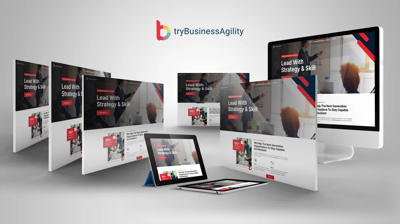 tryBusinessAgility – Executive Education Organization